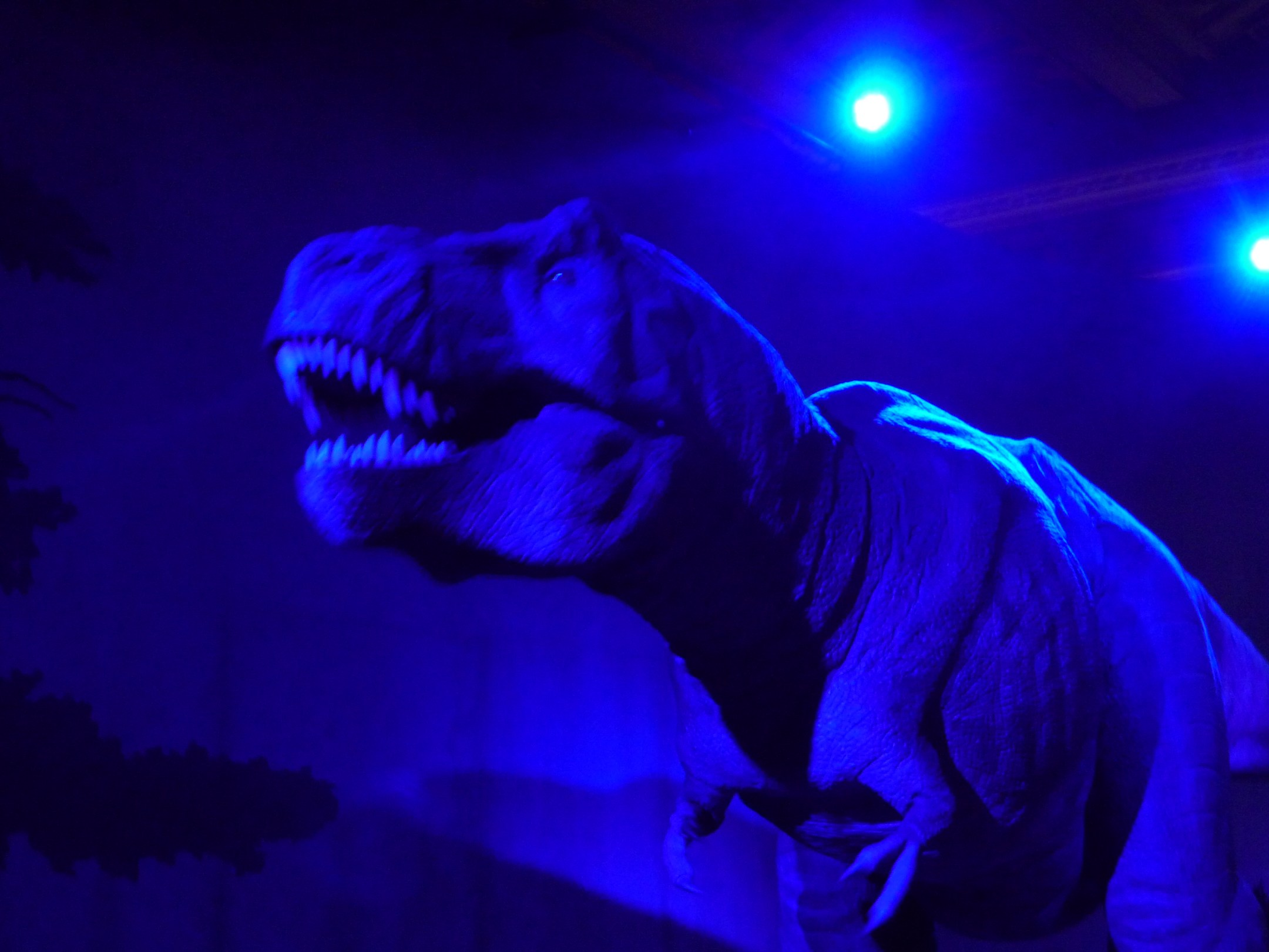 New Species of Tyrannosaur: Moros Intrepidus Fossil Discovery – James ...