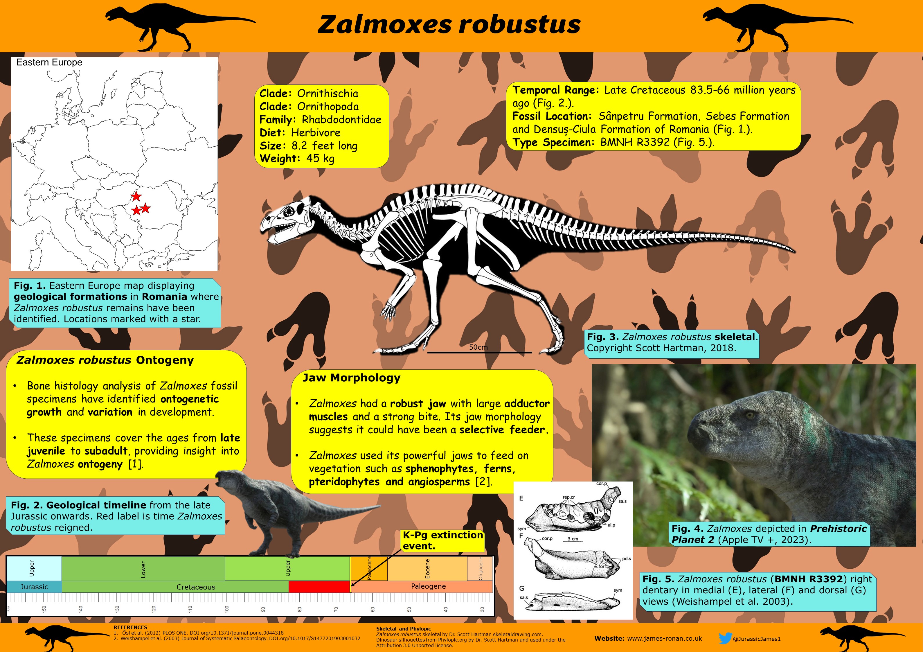 Zalmoxes robustus – James Ronan Palaeontologist