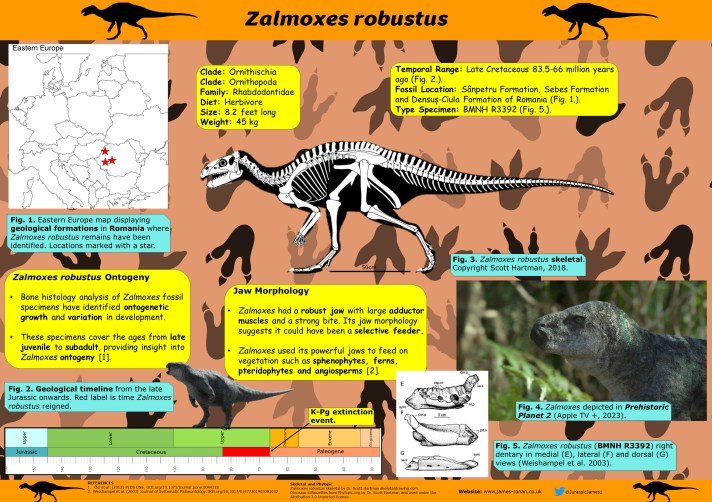 Zalmoxes robustus – James Ronan Palaeontologist