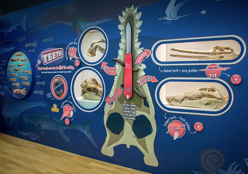 Pliosaurus! Exhibition – James Ronan Palaeontologist