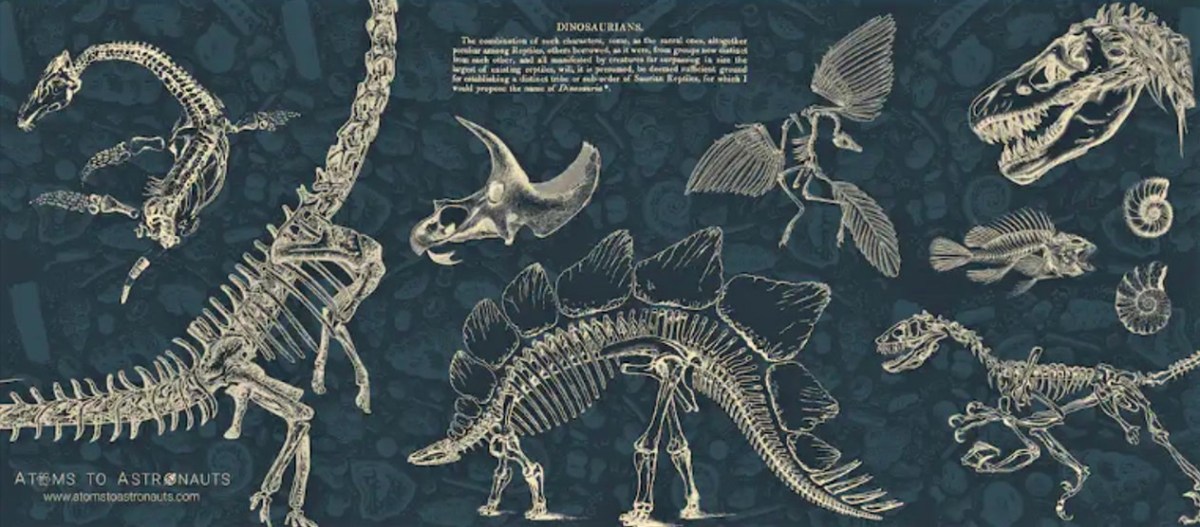 Inspire Your Science Passion with Atoms to Astronauts Palaeontology ...