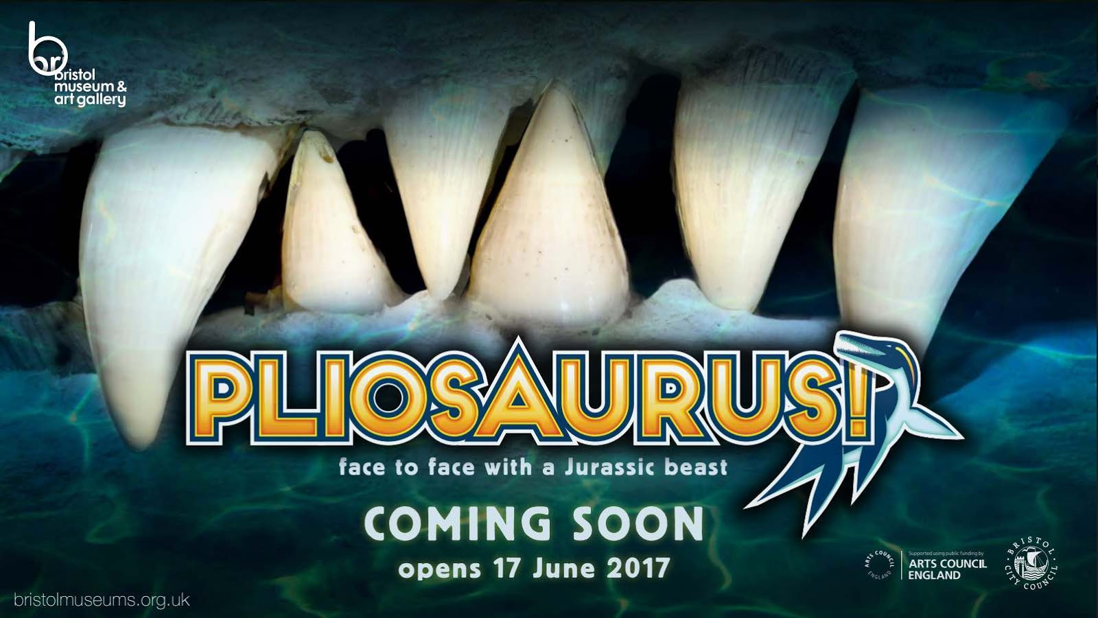Pliosaurus! Exhibition – James Ronan Palaeontologist