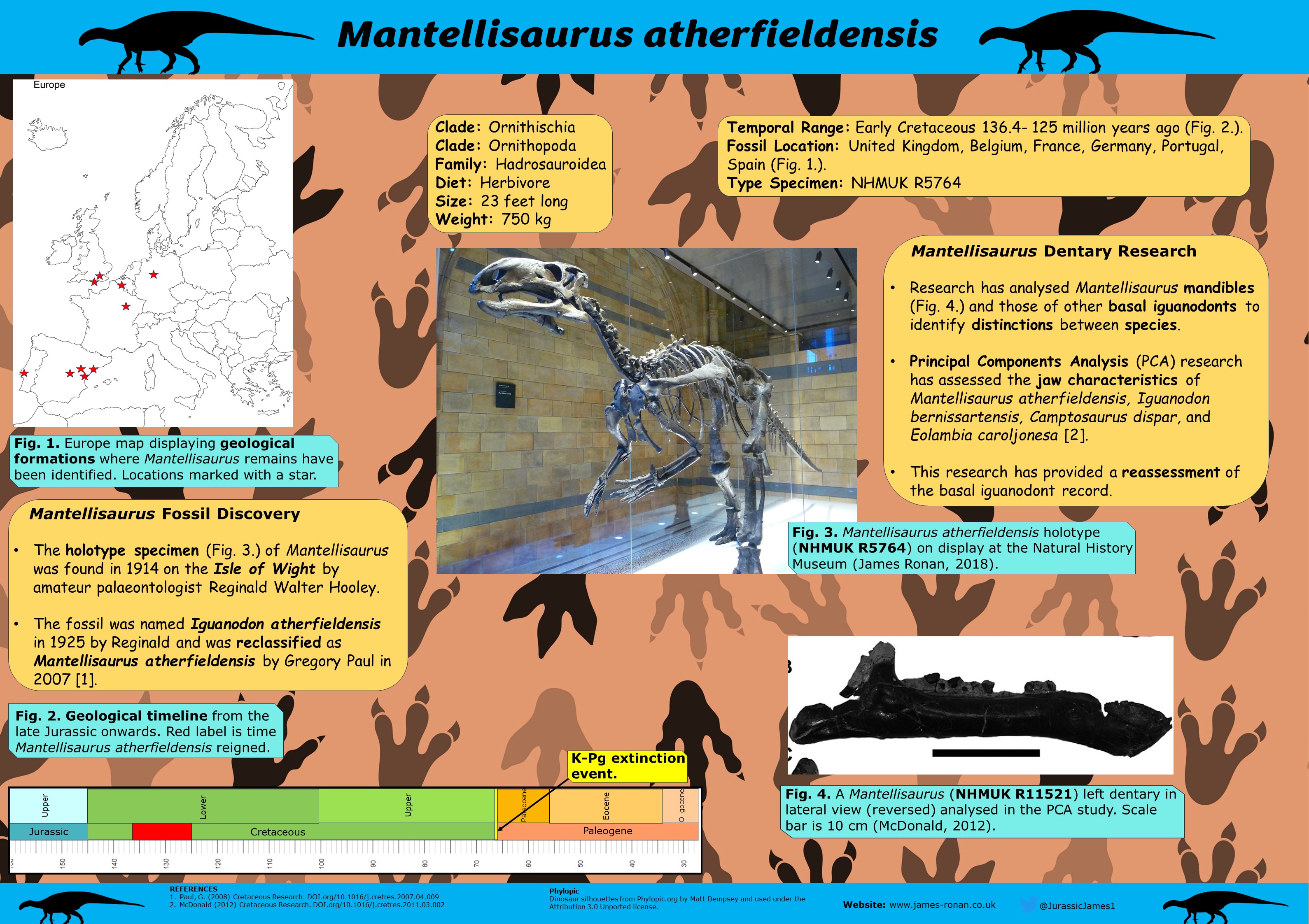 Mantellisaurus atherfieldensis – James Ronan Palaeontologist