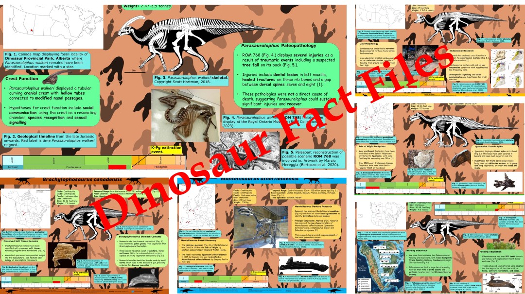 Dinosaur Profiles – James Ronan Palaeontologist